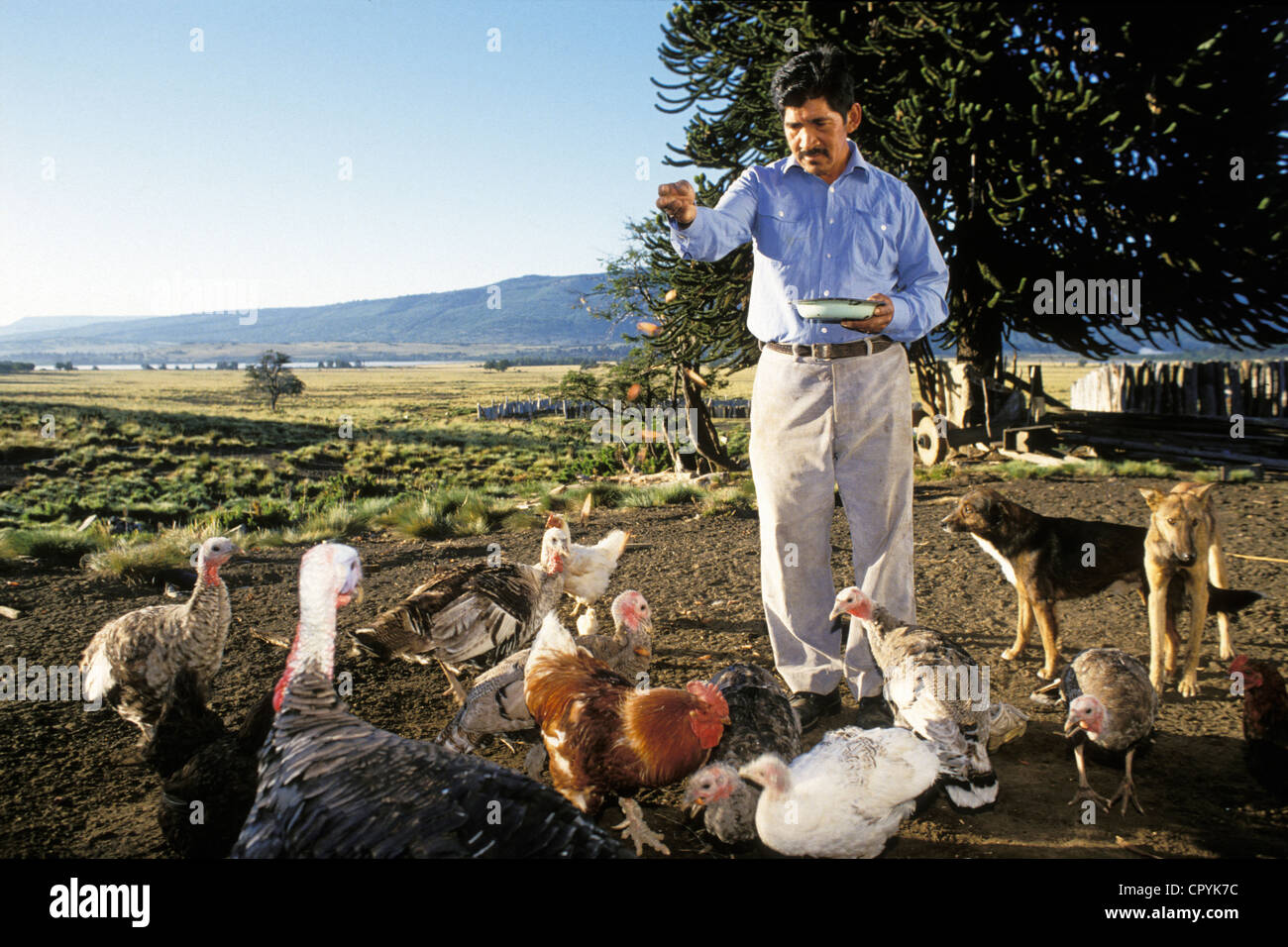 Mapuche indians chile hi-res stock photography and images - Alamy