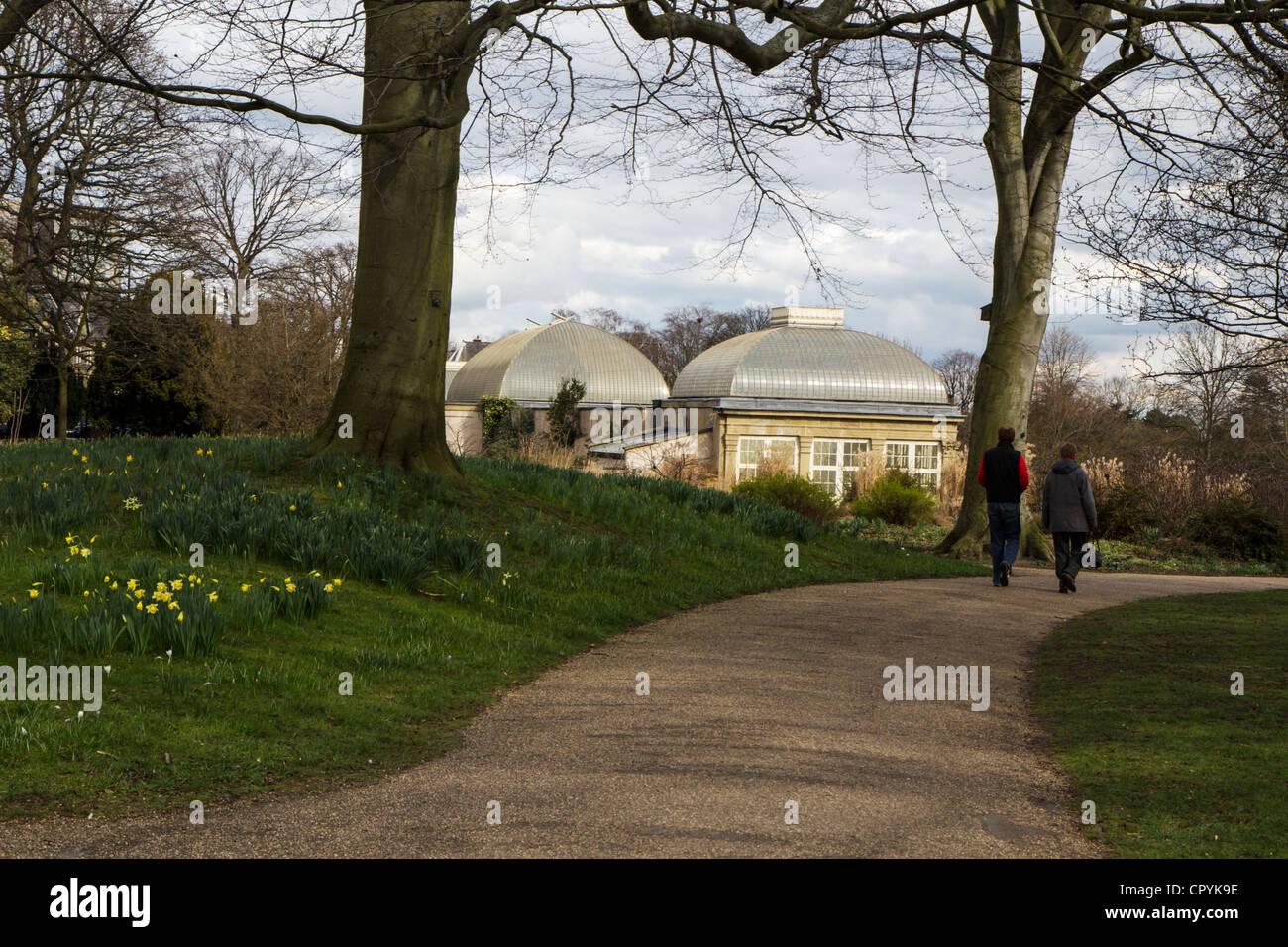 Sheffield botanical garden contains collections of plants from all over ...