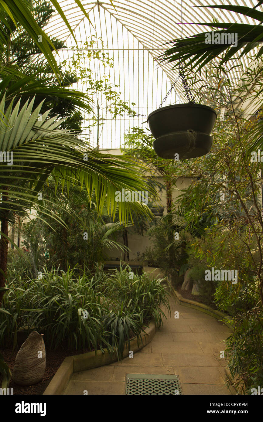 Sheffield botanical garden contains collections of plants from all over ...