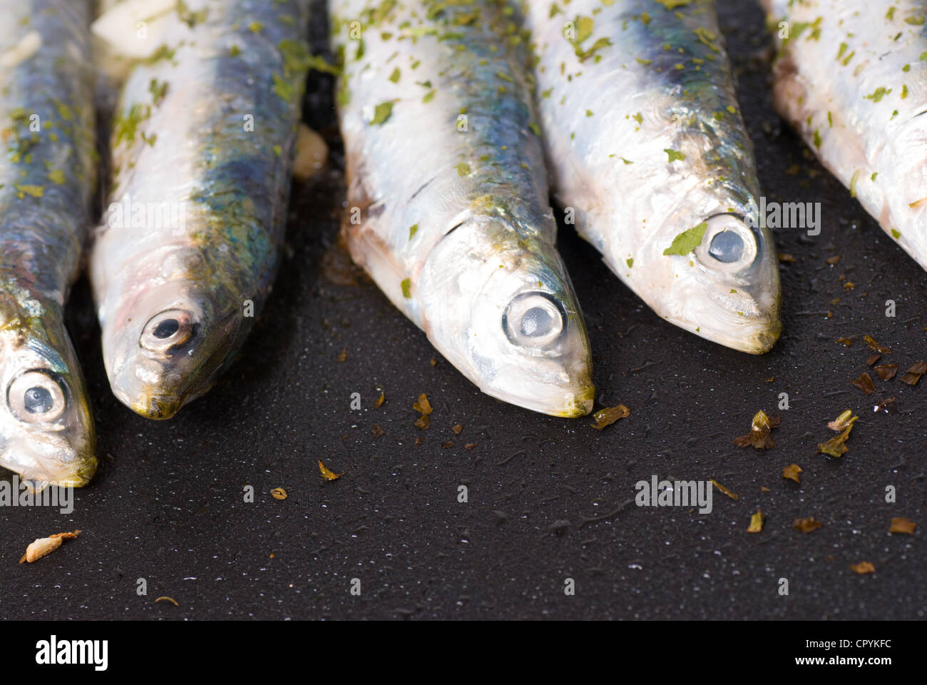 Cooking bluefish on a griddle, a healthy choice Stock Photo - Alamy