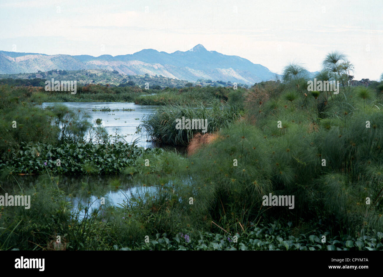 An inland delta on the river Nile close to the Ugandan border Stock ...