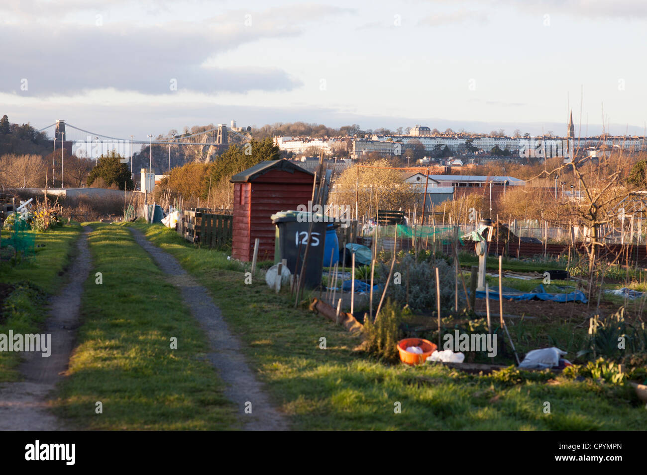 View across Alderman Moore's allotment site, Bristol Stock Photo - Alamy