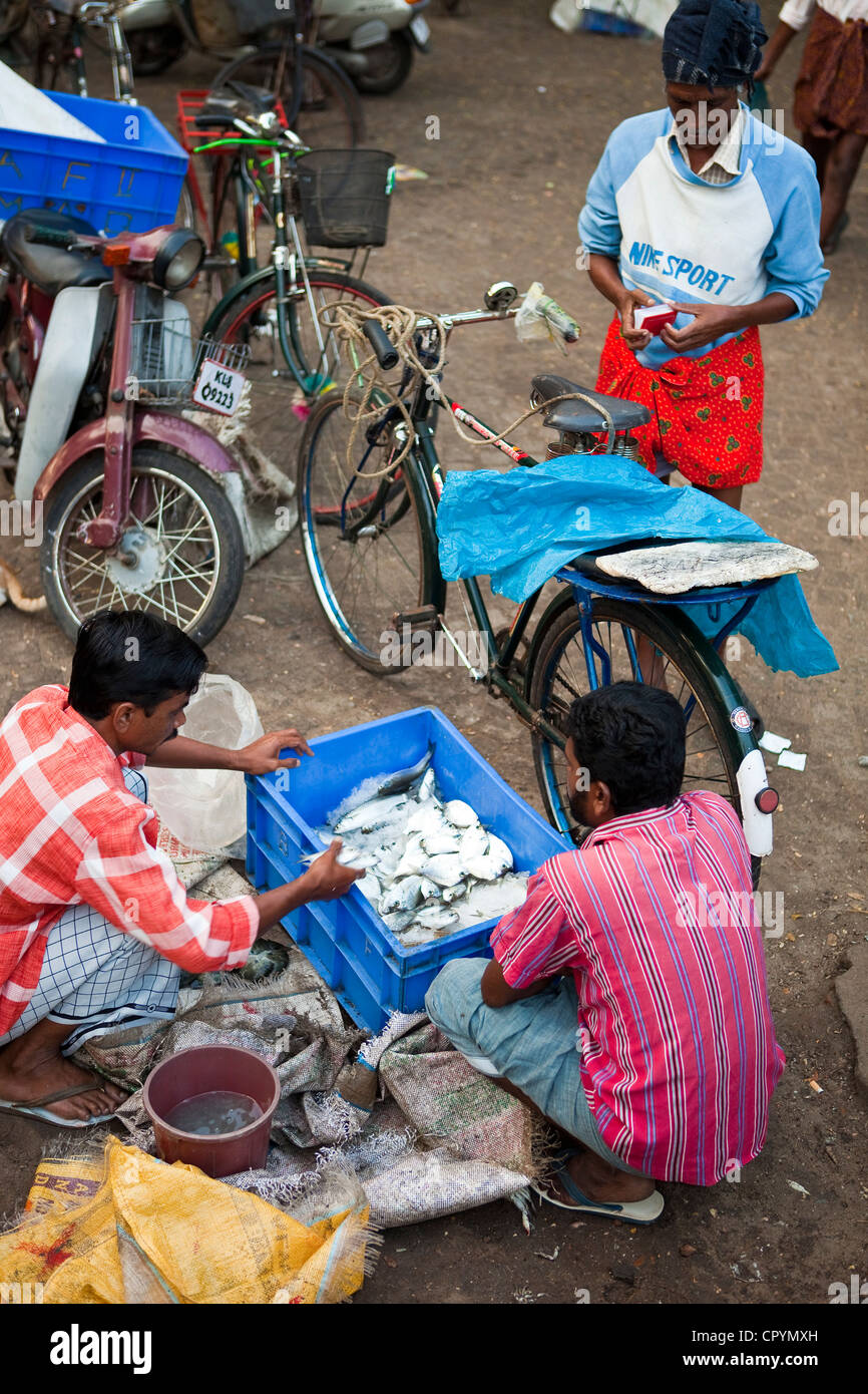 Kerala cochin kochi fish hi-res stock photography and images - Alamy