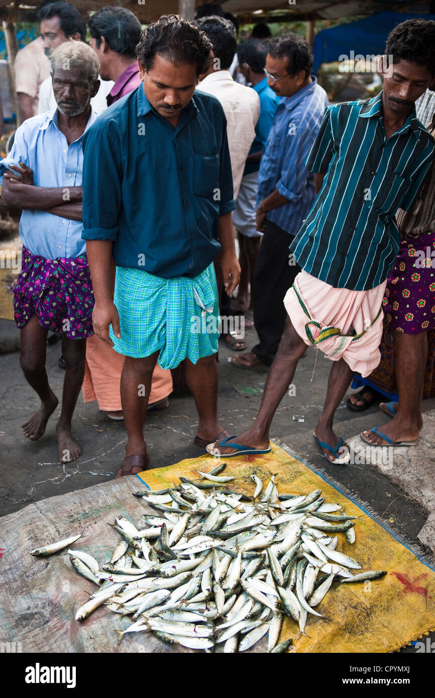 Kerala cochin kochi fish hi-res stock photography and images - Alamy