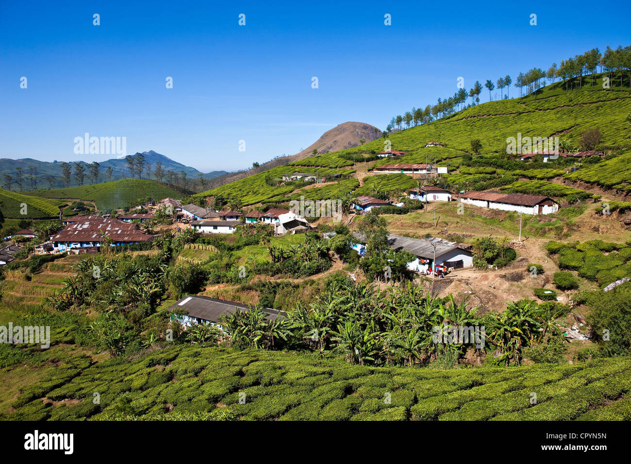 Kerala village hi-res stock photography and images - Alamy