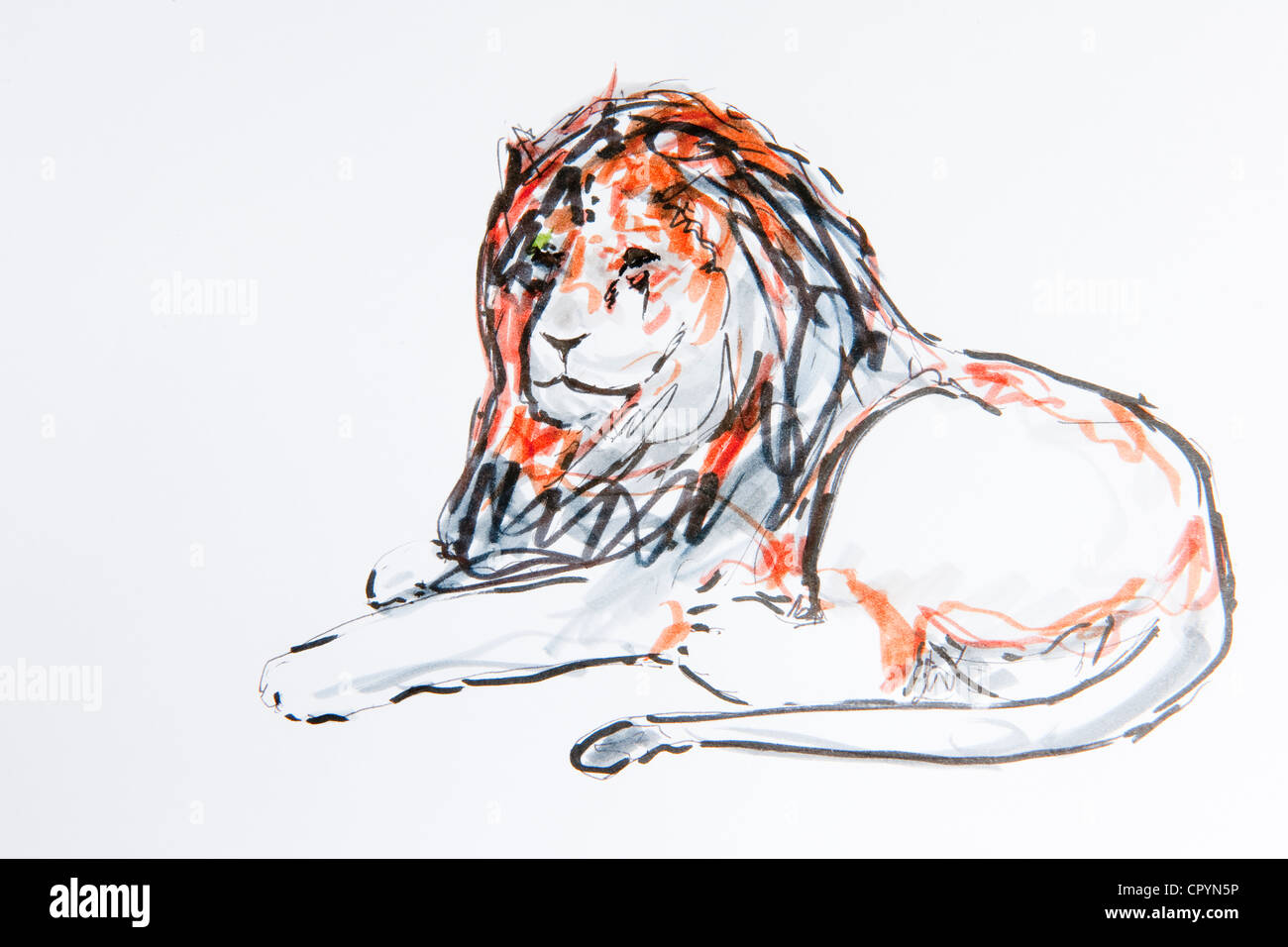 Lion drawing hi-res stock photography and images - Alamy