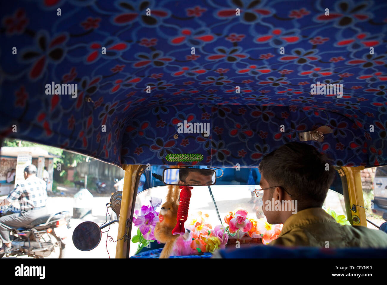 State flower of kerala hi-res stock photography and images - Alamy