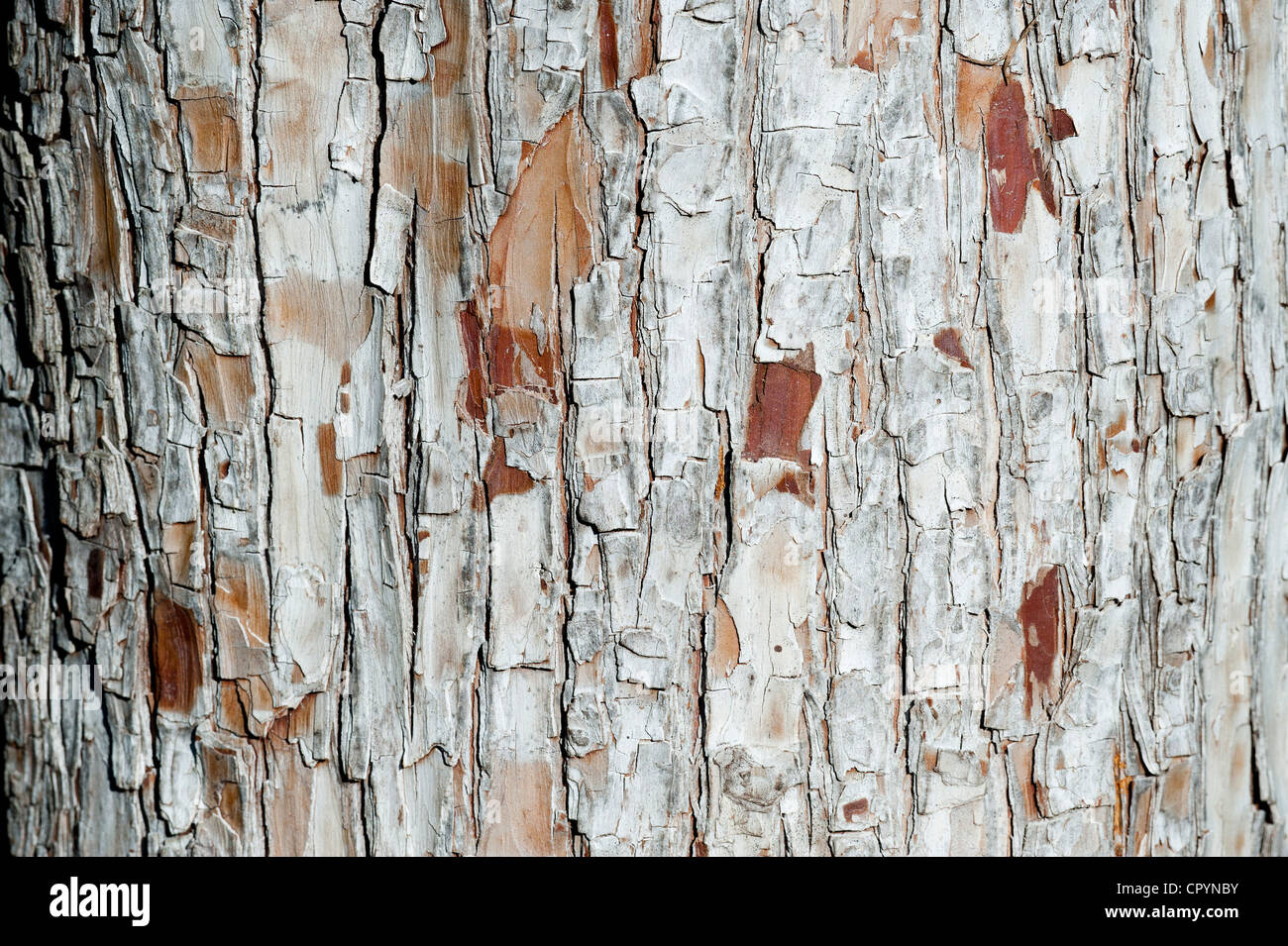 Baden wuerttemberg, germany hi-res stock photography and images - Alamy