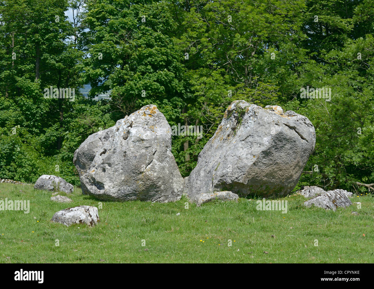 Split limestone boulder. Leighton Hall, Yealand Conyers, Lancashire ...