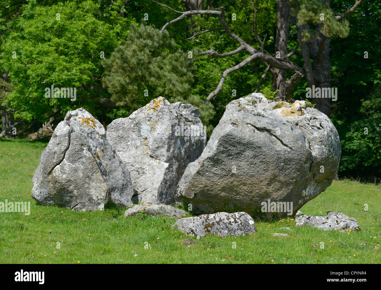 Split limestone boulder. Leighton Hall, Yealand Conyers, Lancashire ...