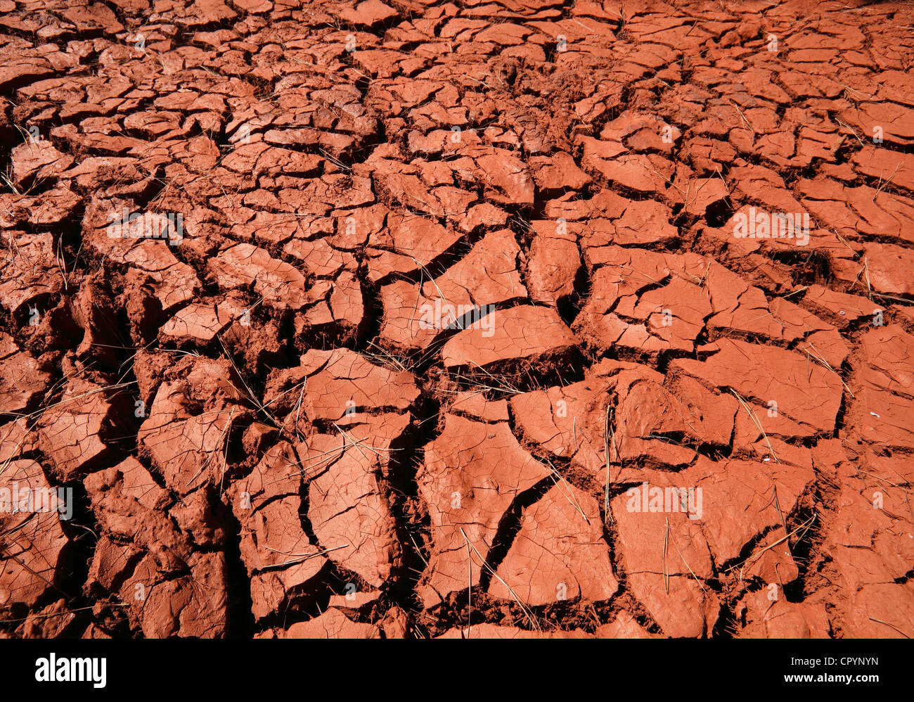 Dry cracks in red clay, drought, Puntagorda, Camino de la Rosa, La ...