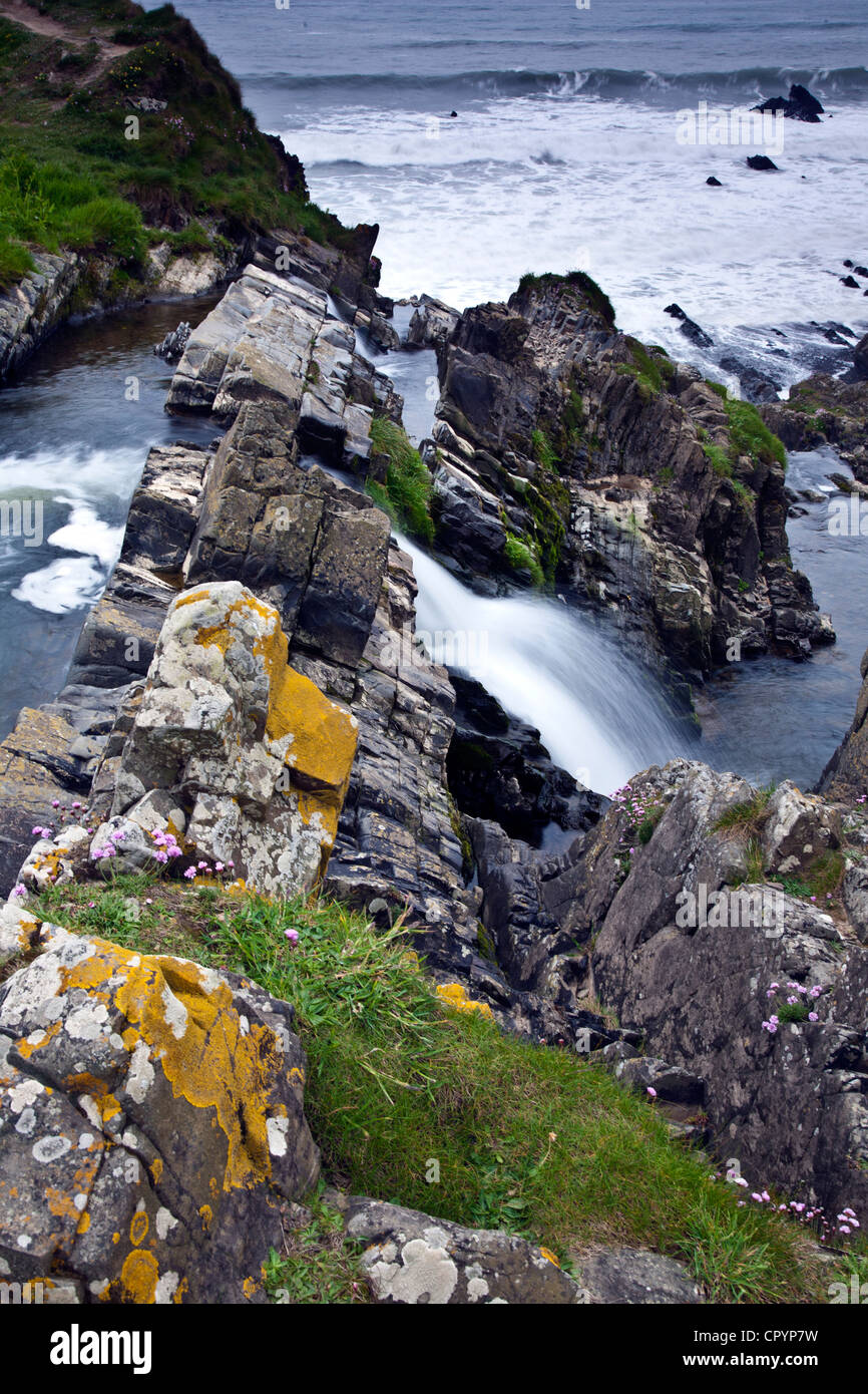 Top of Waterfall above Beach at Welcombe Mouth Stock Photo - Alamy