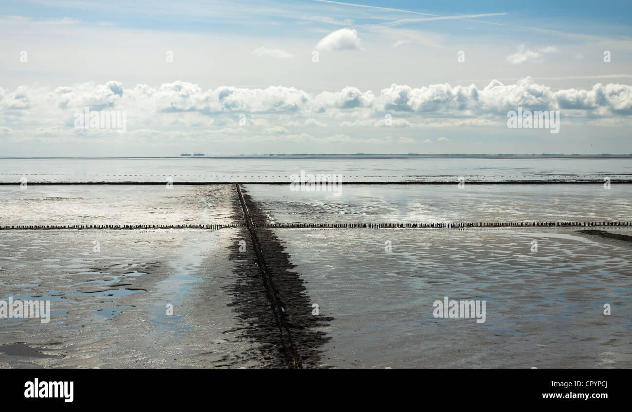 Land reclamation on the North Sea by groynes and fascines, North Frisia ...