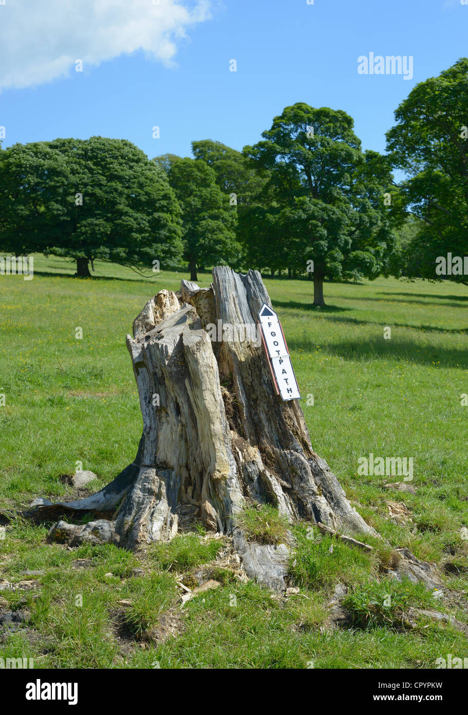 Rotten sign hi-res stock photography and images - Alamy