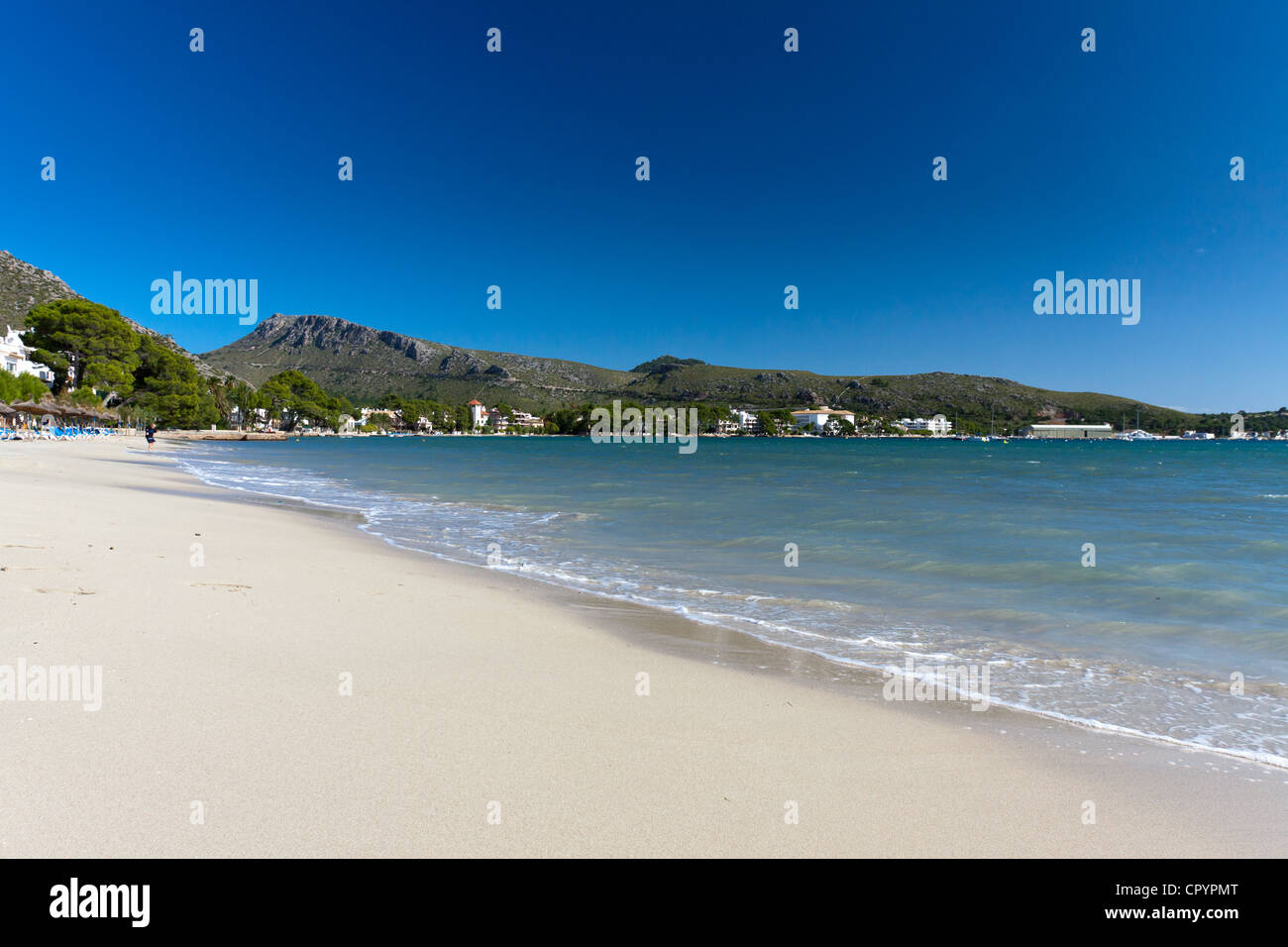 The sandy beach Platja de Llenaire in Puerto Pollensa, Majorca ...