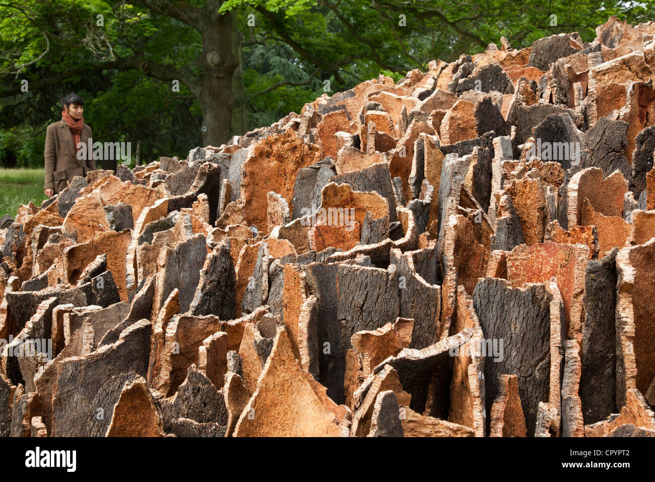 David nash hi-res stock photography and images - Alamy