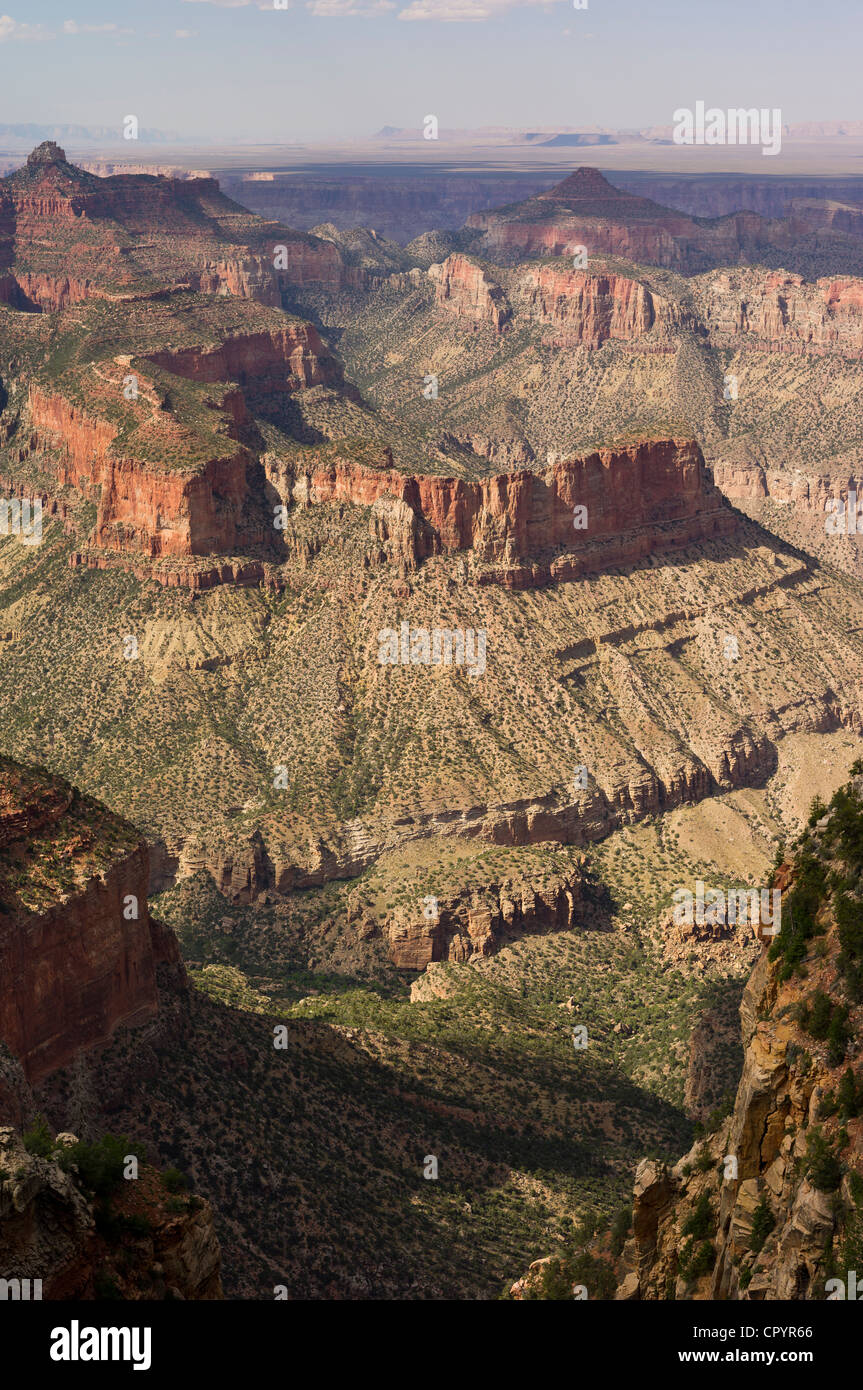 North Rim, Grand Canyon National Park, Arizona, USA Stock Photo - Alamy