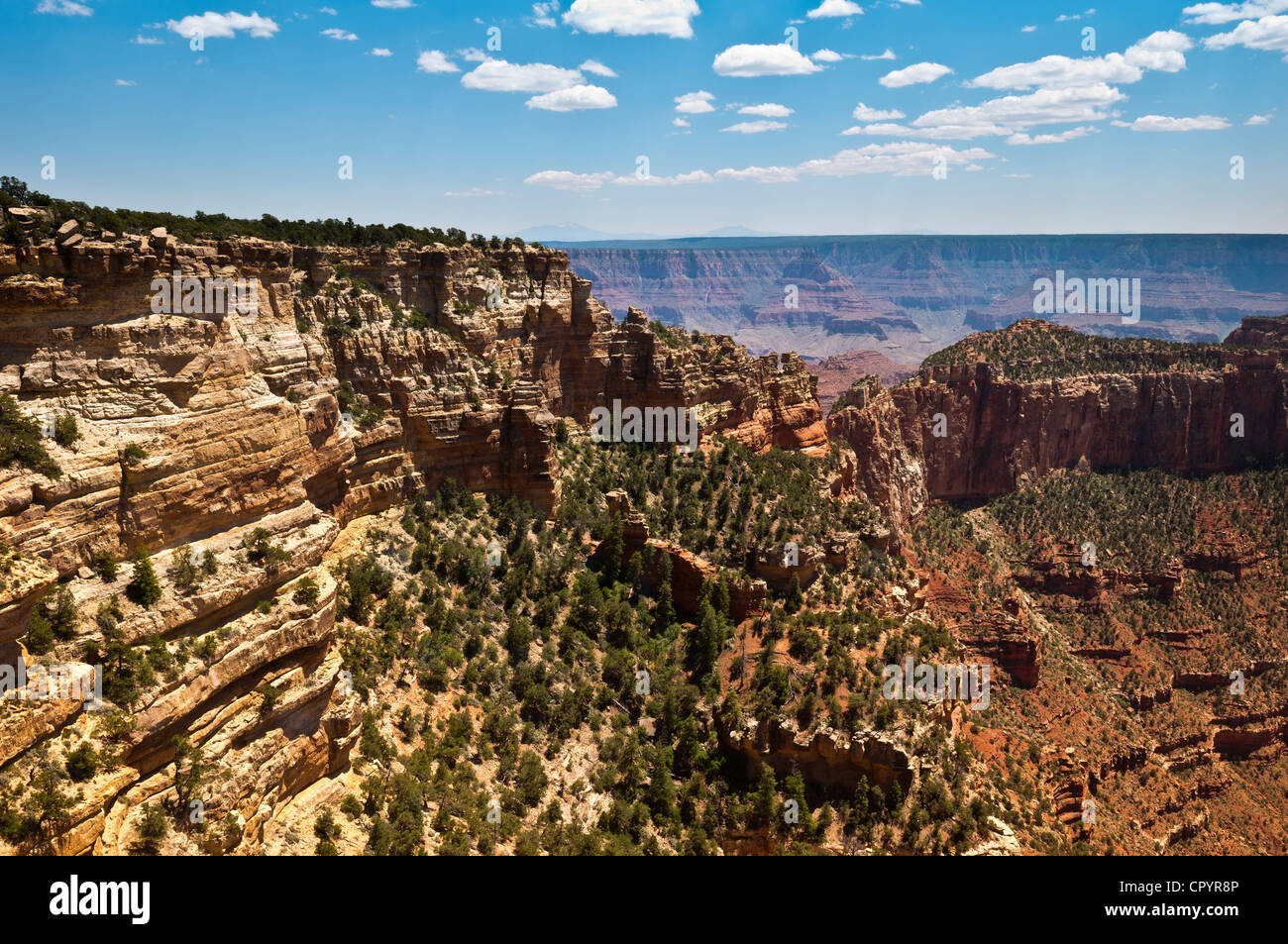 North Rim, Grand Canyon National Park, Arizona, USA Stock Photo - Alamy