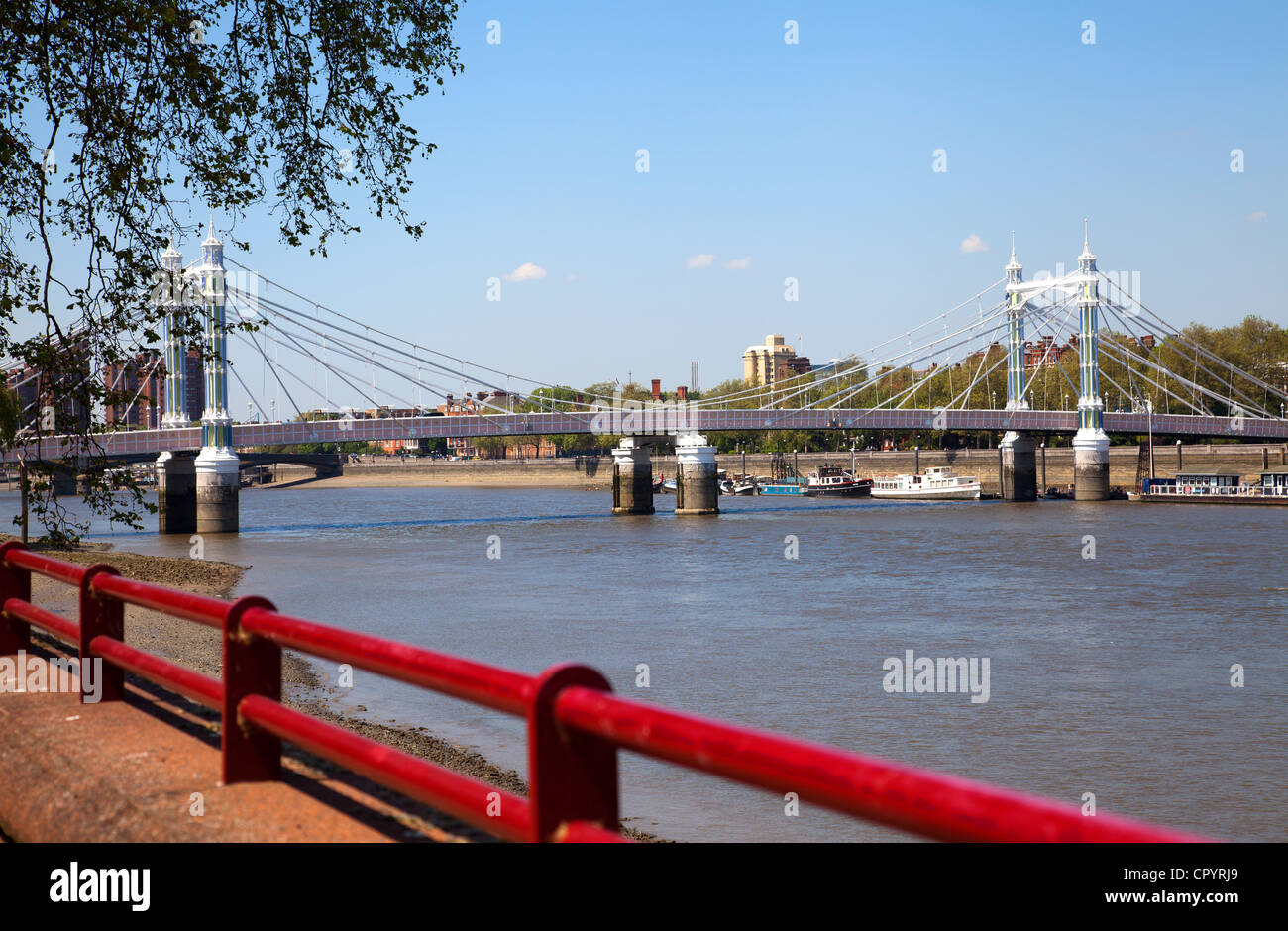 Albert Bridge over Thames - London - UK Stock Photo - Alamy