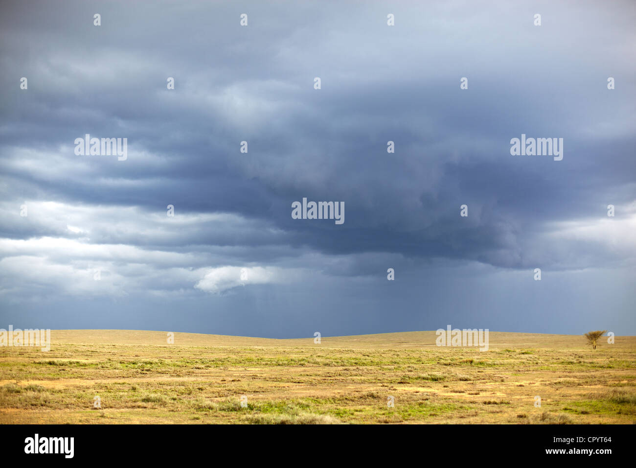 African savanna rain clouds hi-res stock photography and images - Alamy