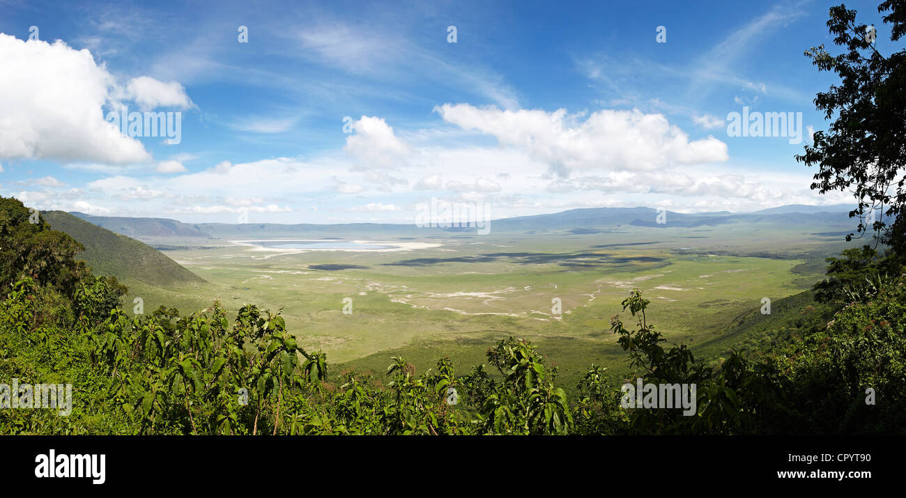 Vantage point, panorama, Ngorongoro Crater, volcano, Ngorongoro ...