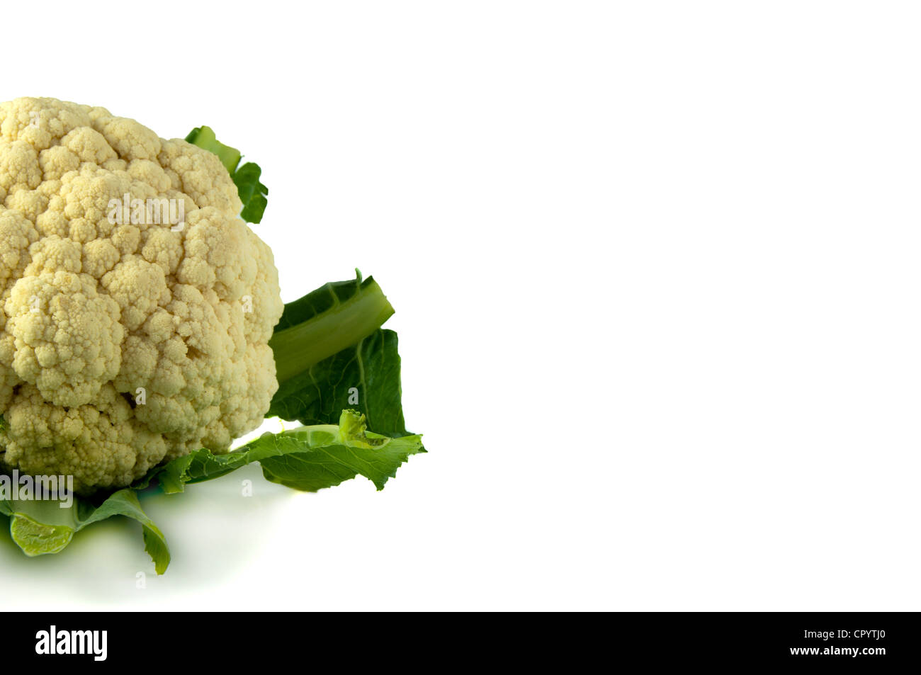 cauliflower with open space for text on the right Stock Photo - Alamy