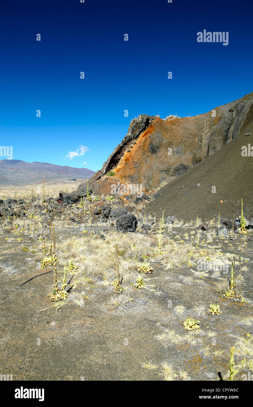 Mauna Kea, shield volcano, Big Island, Hawaii, USA Stock Photo - Alamy