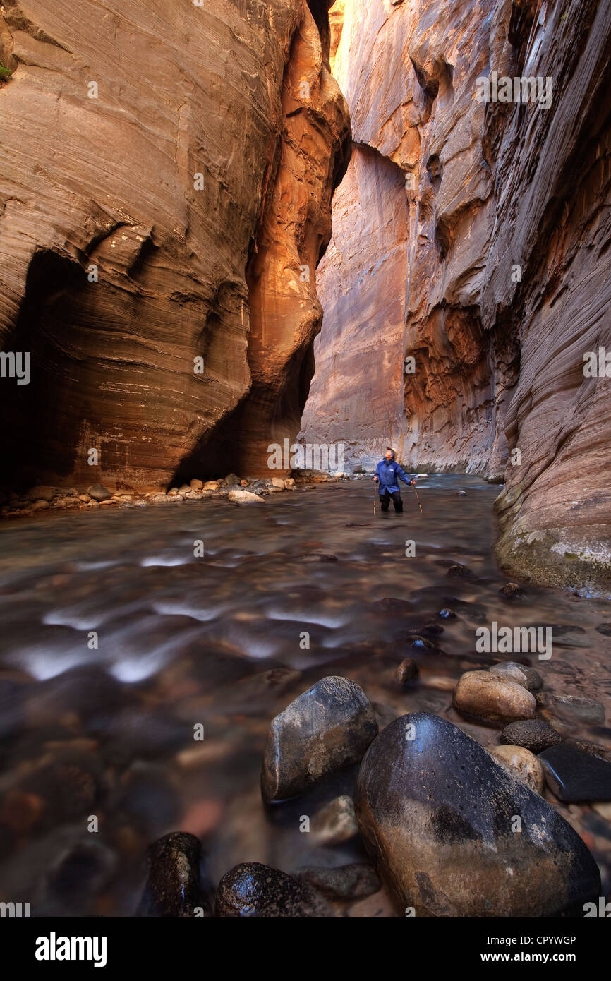 The Narrows, narrow of the Virgin River, Zion National Park, Utah, USA ...
