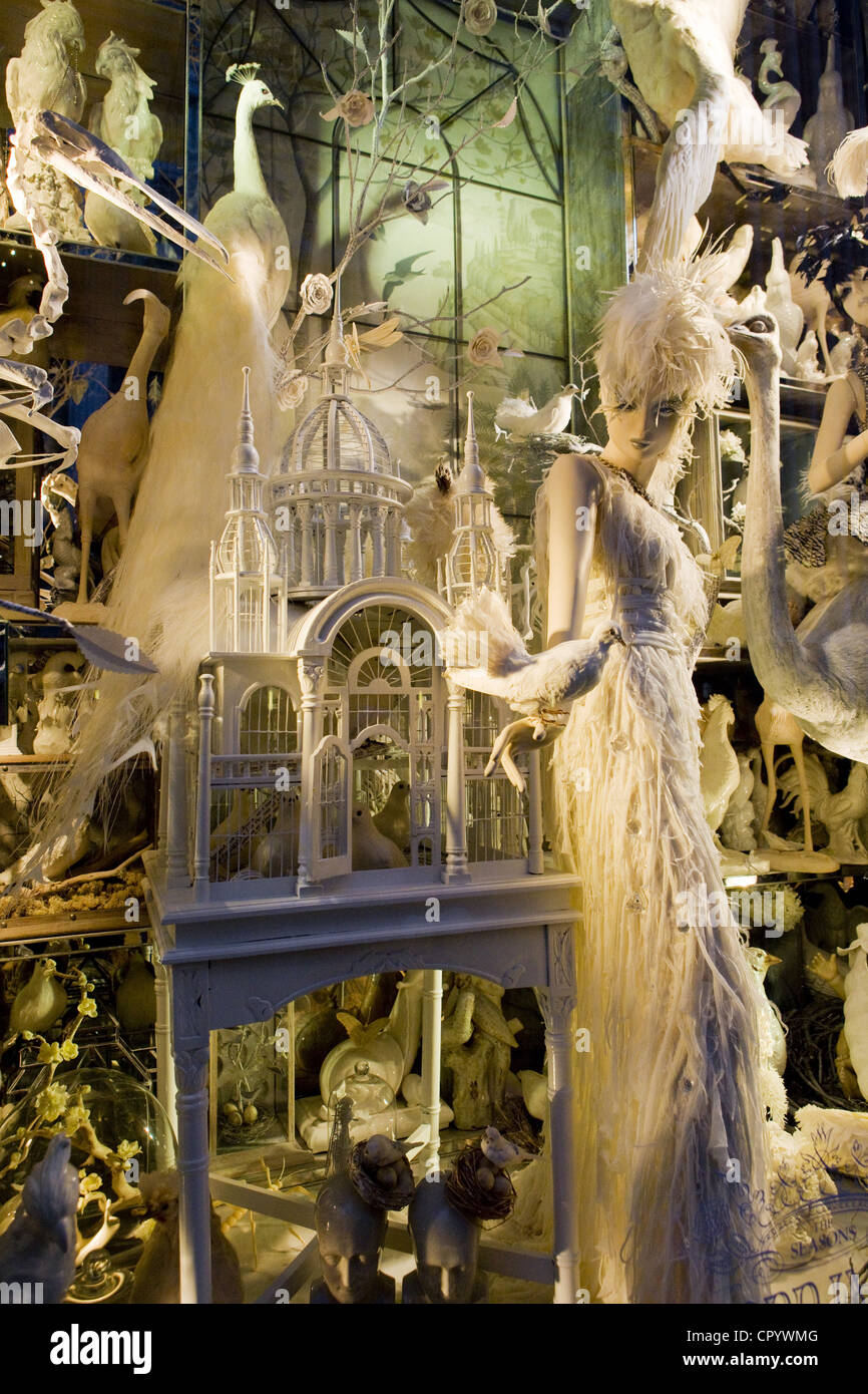 shop window, Manhattan, New York City, USA Stock Photo - Alamy