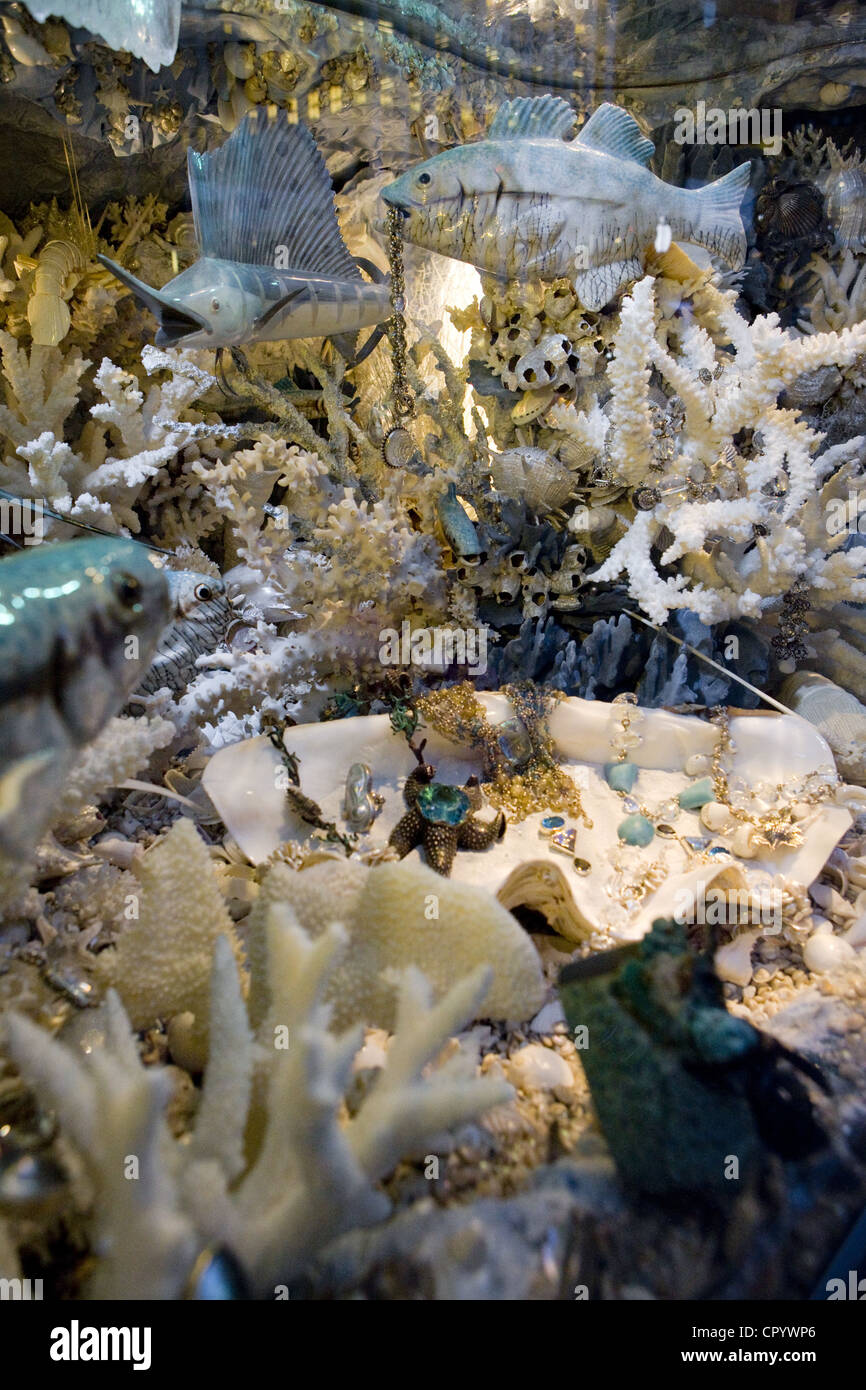 shop window, Manhattan, New York City, USA Stock Photo - Alamy