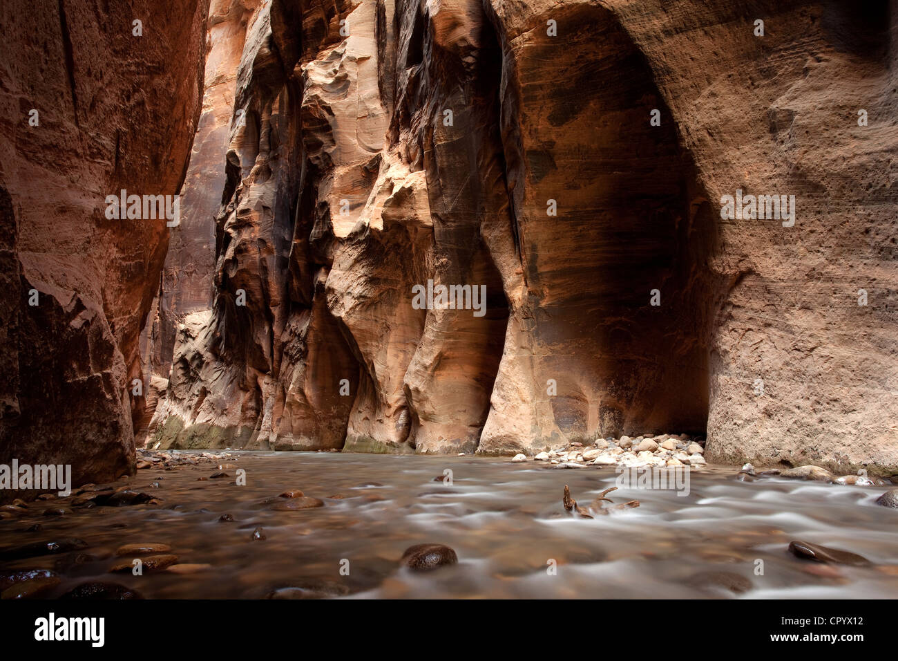 The Narrows, narrow point of the Virgin River, Zion National Park, Utah ...