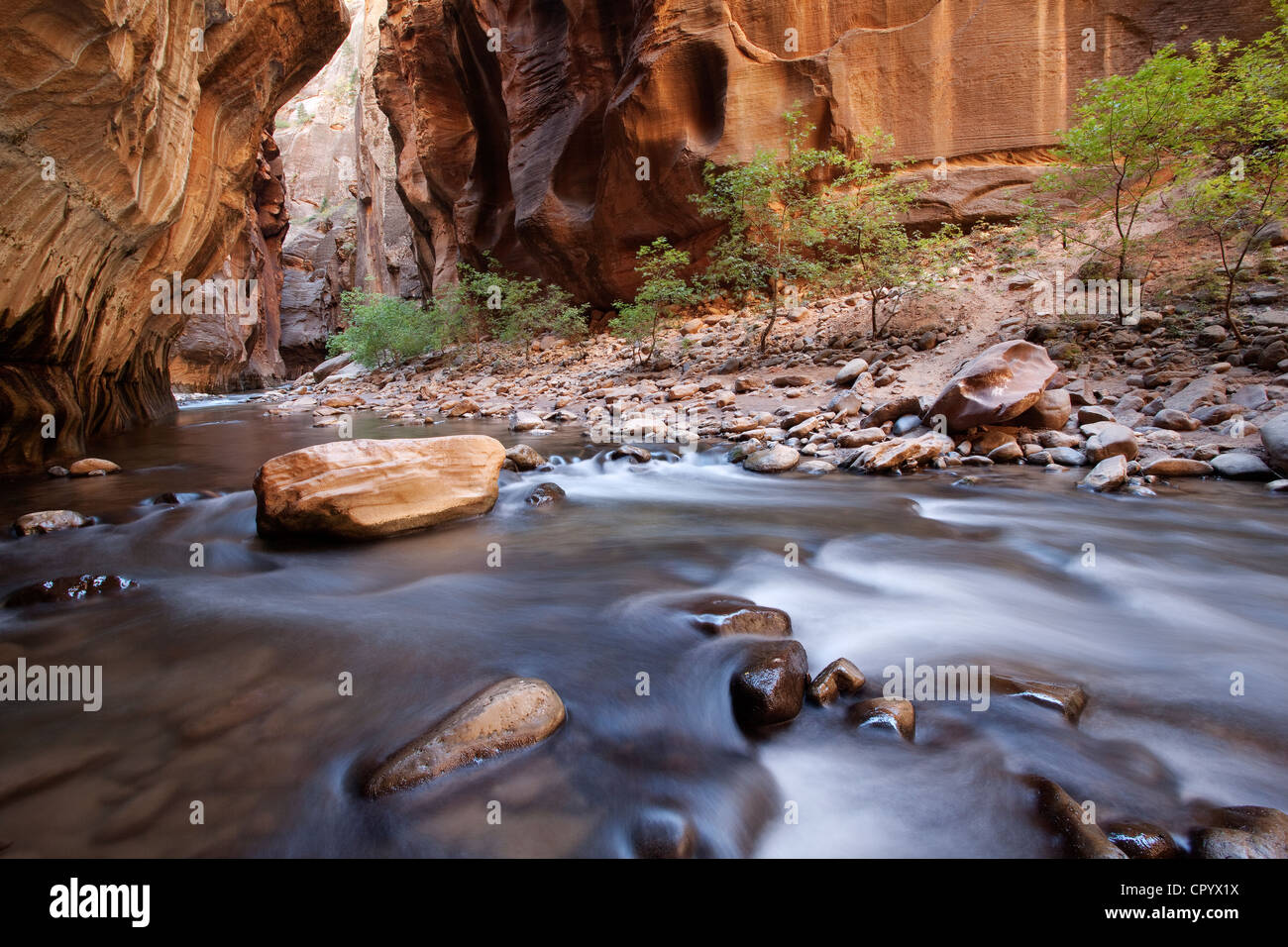 The Narrows, narrow point of the Virgin River, Zion National Park, Utah ...