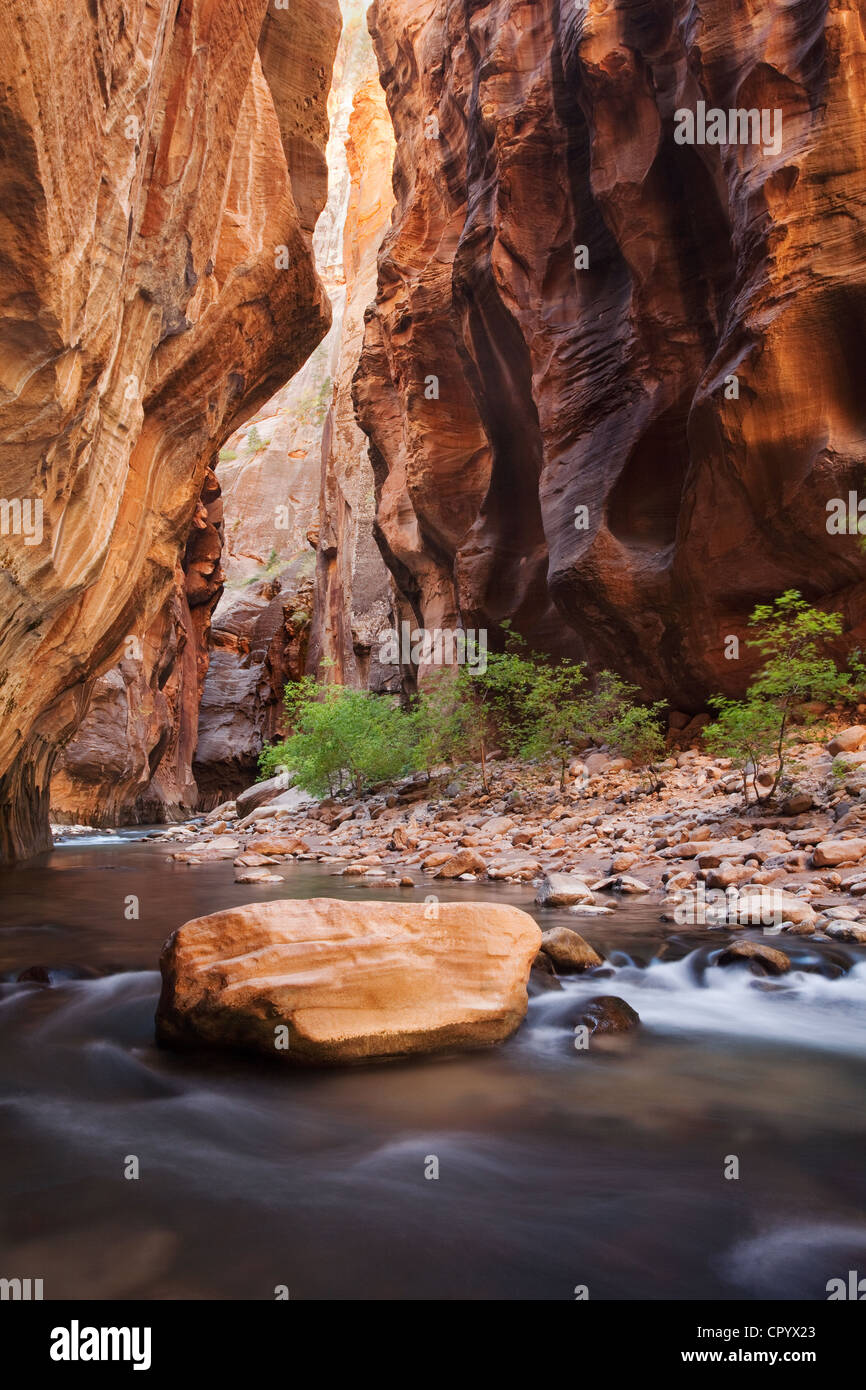 Narrow bodies hi-res stock photography and images - Alamy