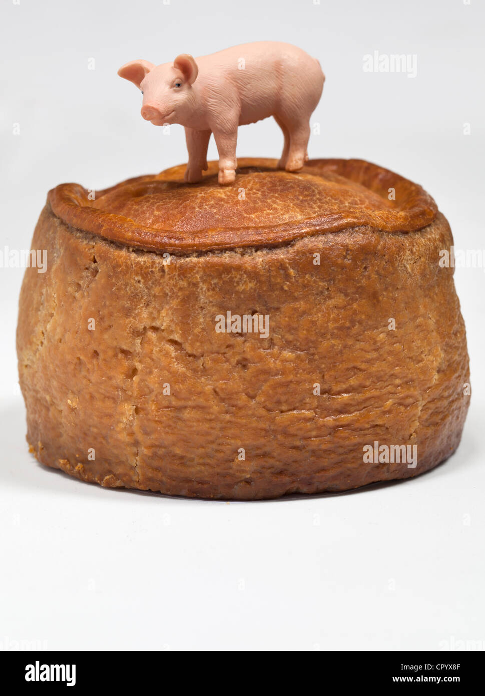 Pork Pie with model pig Stock Photo - Alamy