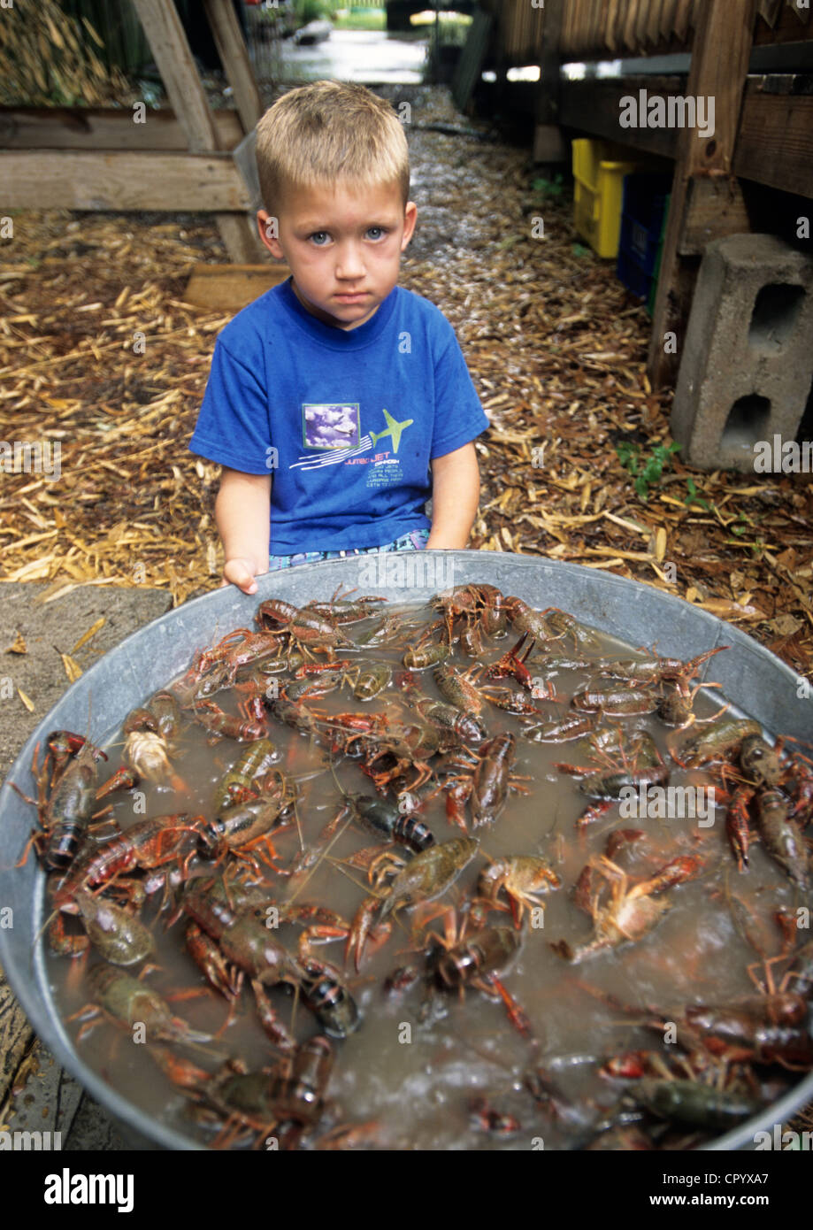 United States, Louisiana, Lafayette, crawfish broil (Cajun recipe Stock ...