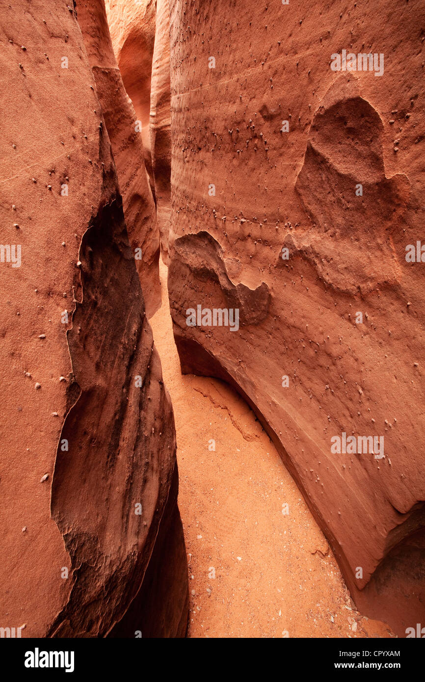 Spooky Canyon, Utah, USA Stock Photo - Alamy