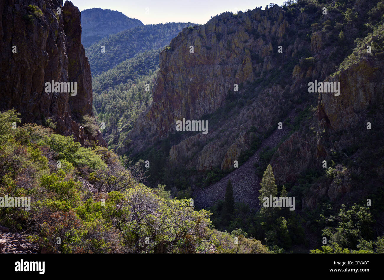 South Canyon, Magdalena Mountains, Socorro county, New Mexico, USA ...