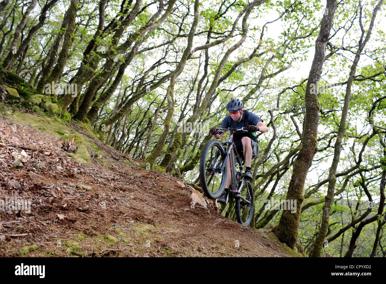 Cycle trails cornwall hi-res stock photography and images - Alamy