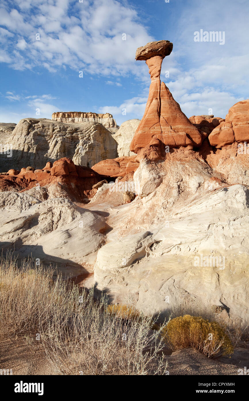 The Rimrock, landscape, Utah, USA, America Stock Photo - Alamy