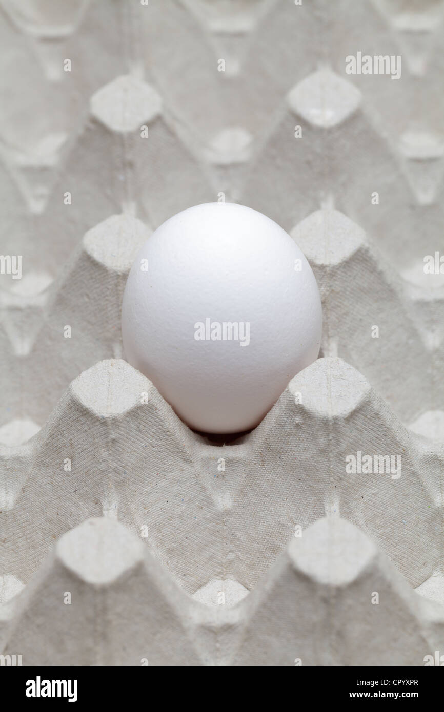 Single egg in an egg carton Stock Photo - Alamy
