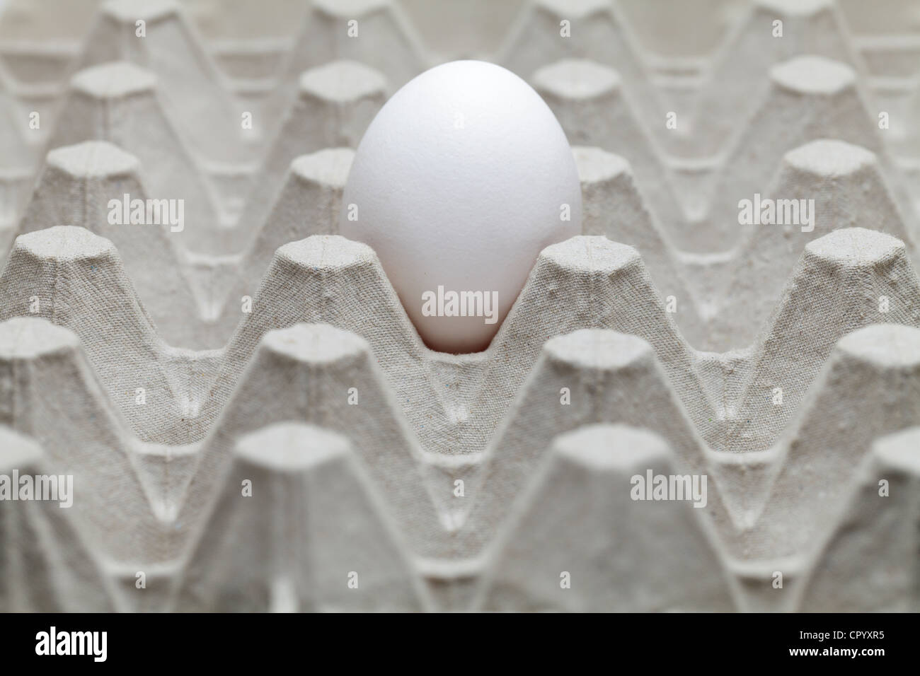 Single egg in an egg carton Stock Photo - Alamy