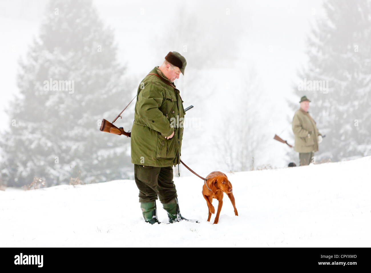 hunter with his dog hunting Stock Photo - Alamy