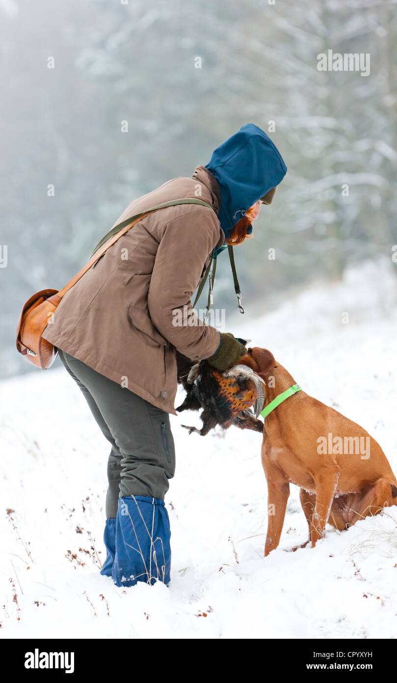 Woman pheasant hunting hi-res stock photography and images - Alamy