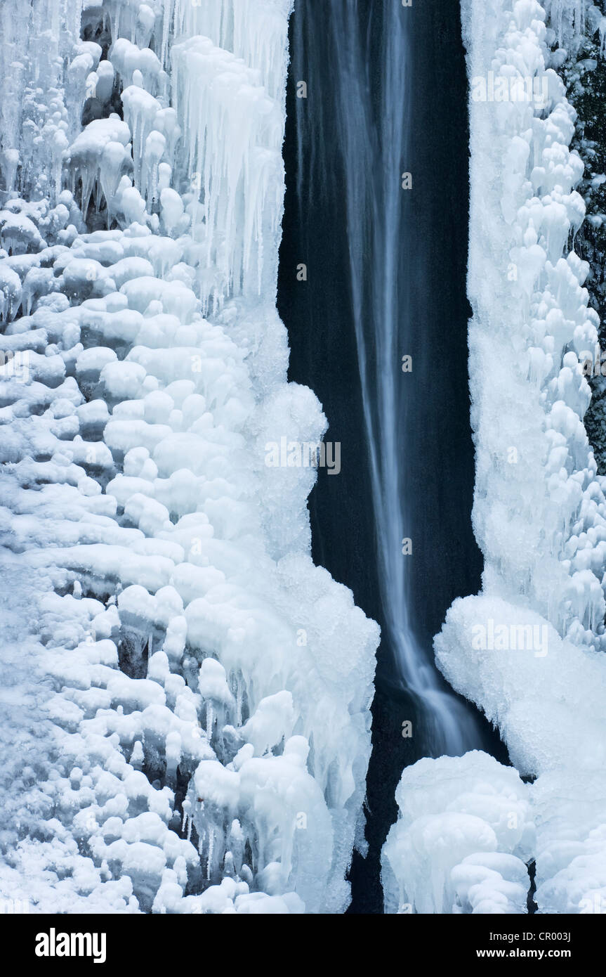 Ic photos hi-res stock photography and images - Alamy