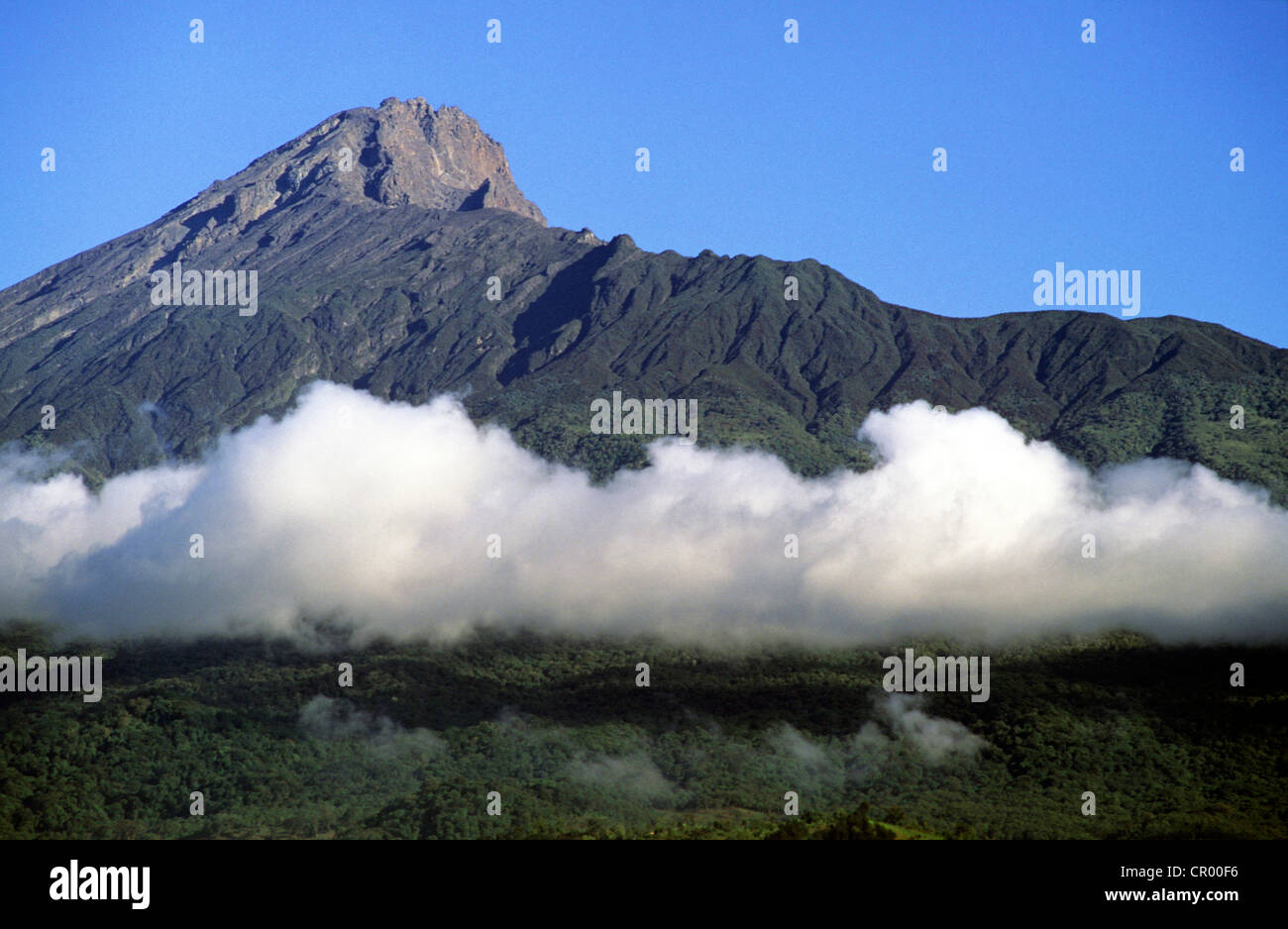 Tanzania, region of Arusha, Mount Meru seen from National Park of ...
