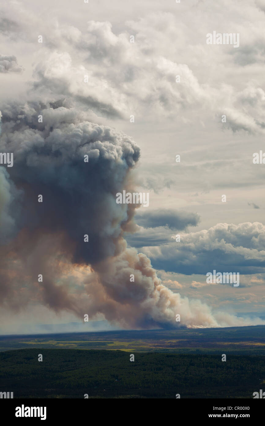 Forest fire following a lightning strike near Fairbanks, Alaska, USA ...