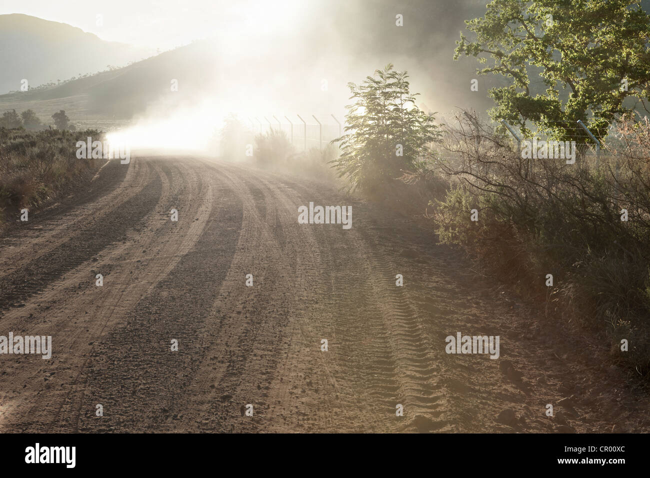 Tire tracks in rural dirt road Stock Photo - Alamy