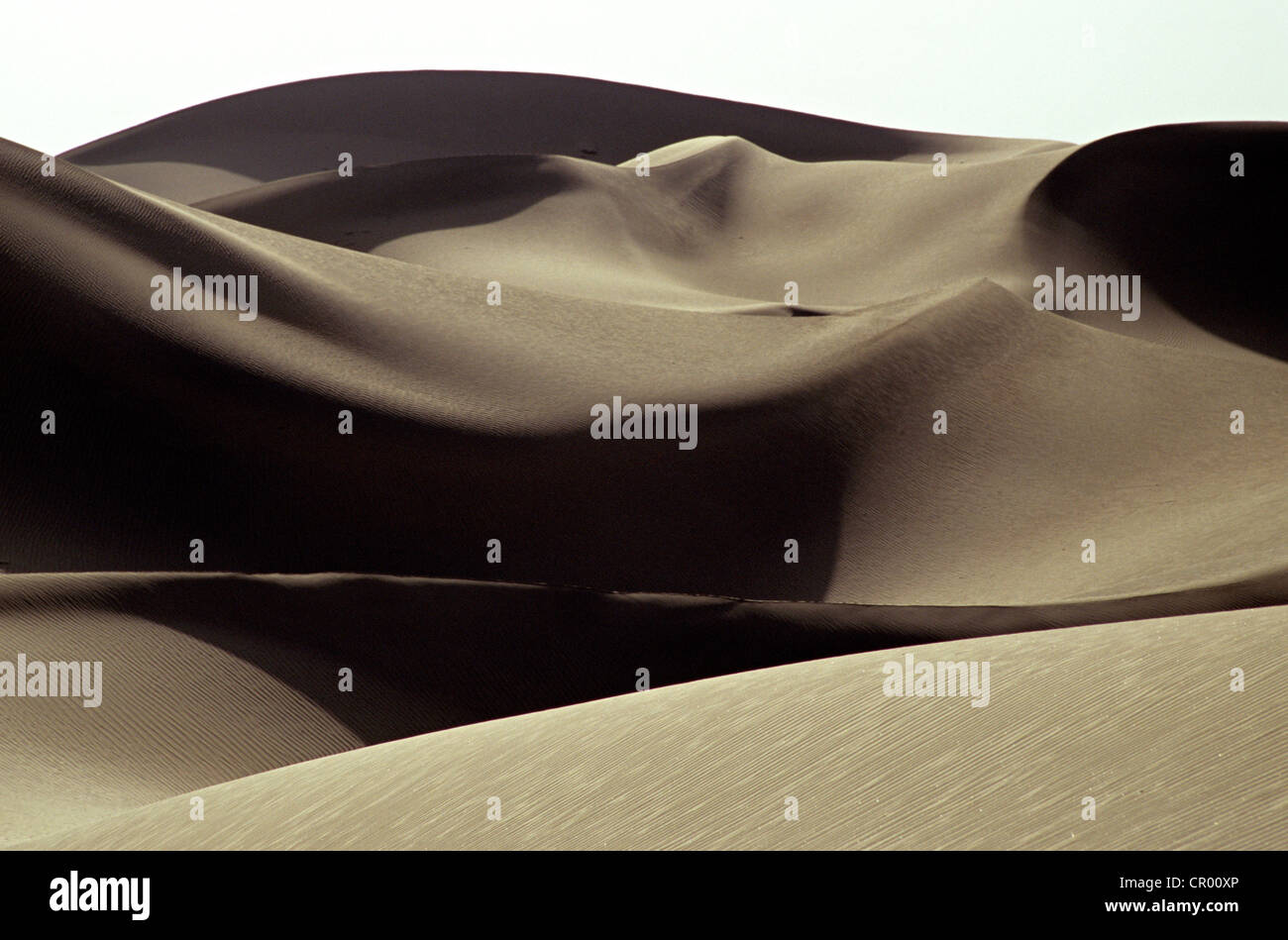 China, Xinjiang, desert of Taklamakan, second biggest sand desert of ...