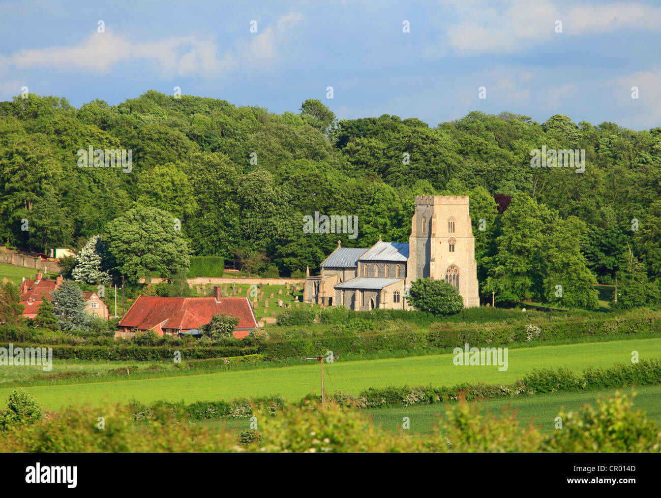 The village of North Creake in rural Norfolk showing the church of St ...