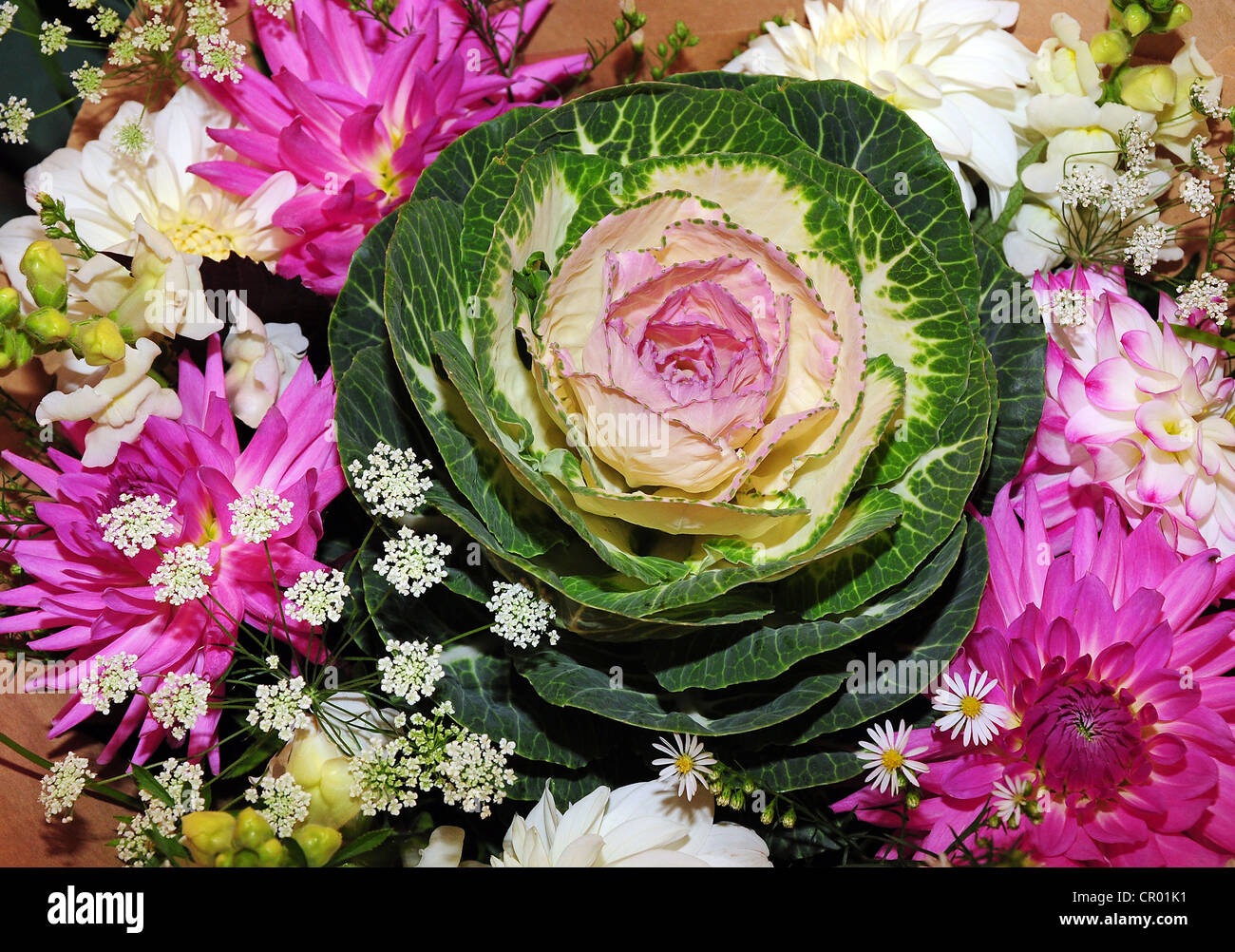 Kale flowers hi-res stock photography and images - Alamy